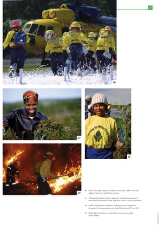 The Future Herald COP17 Newspaper | PDF