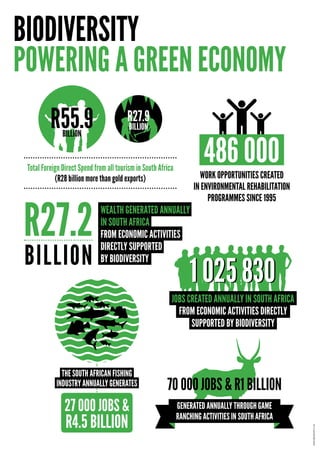 The Future Herald COP17 Newspaper | PDF