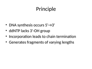 Comprehensive Overview of Sanger Sequencing: Principles, Procedure, and ...