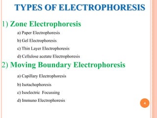 Electrophoresis Principle, Affecting Factors And Types, 55% OFF
