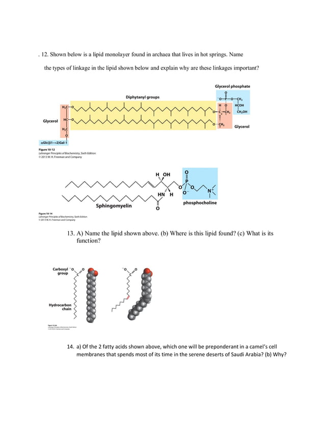 Biochemistry Exam Nucleotides Lipids Membranes and Signaling biochem ...