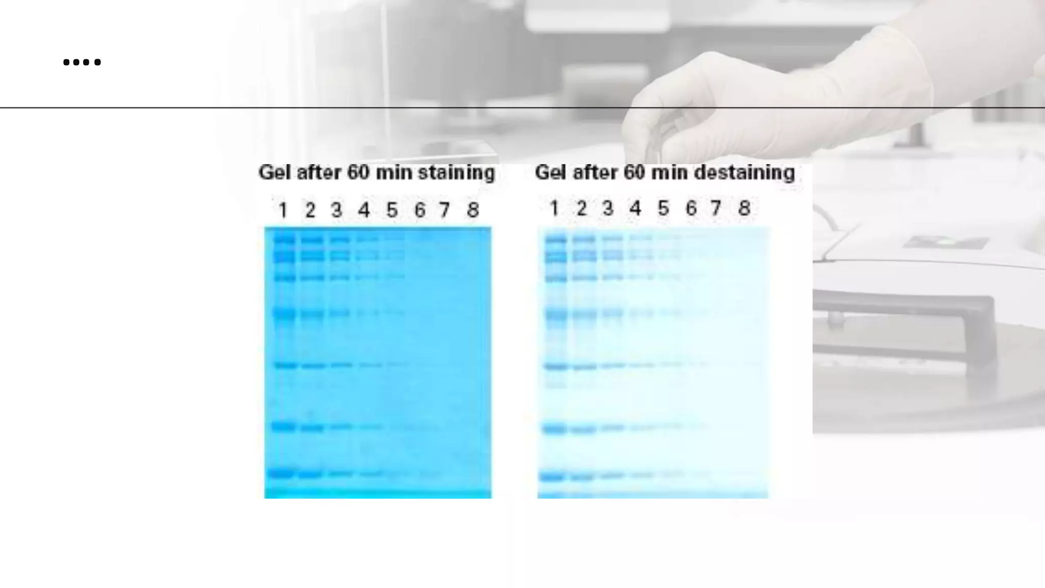 final sds ppt.pptx | Chemistry | Science