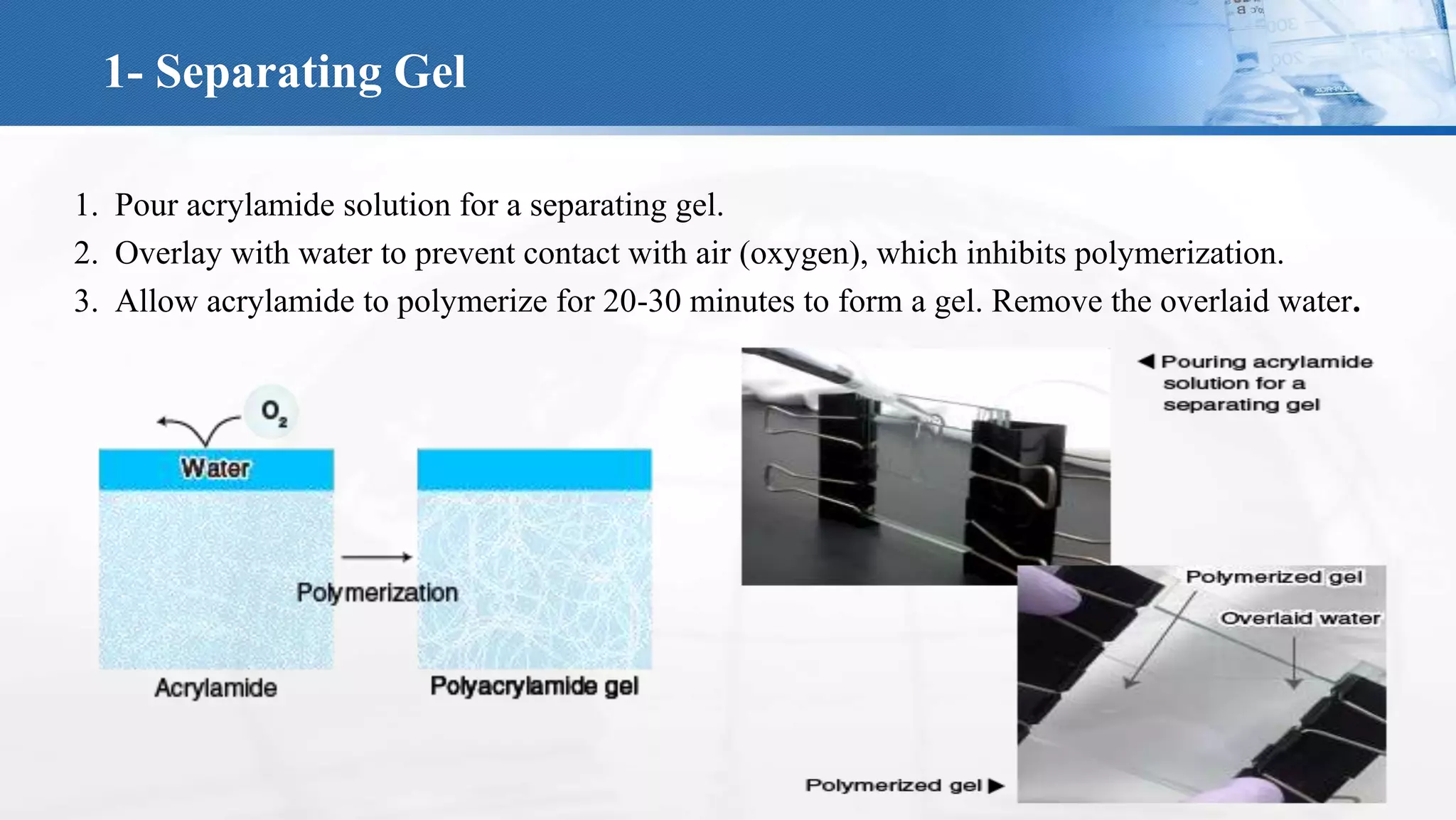 final sds ppt.pptx | Chemistry | Science