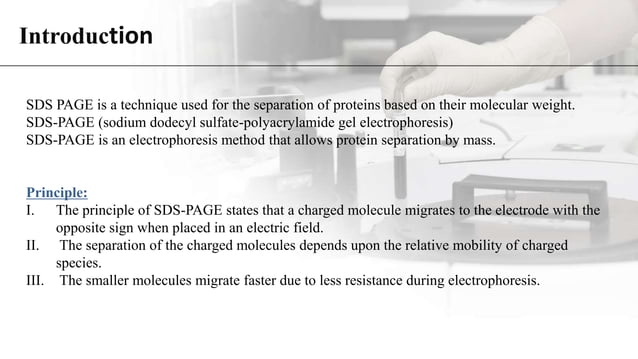 final sds ppt.pptx | Chemistry | Science