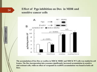 EXTRACELLULAR VESICLES IN CANCER | PPTX