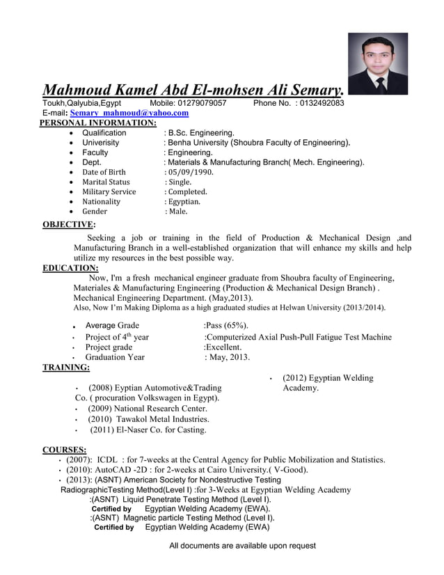 Final semary's cv. | PDF