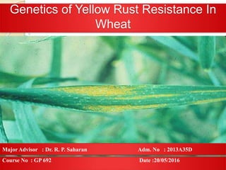 Genetics of Yellow Rust Resistance in Wheat | PPT