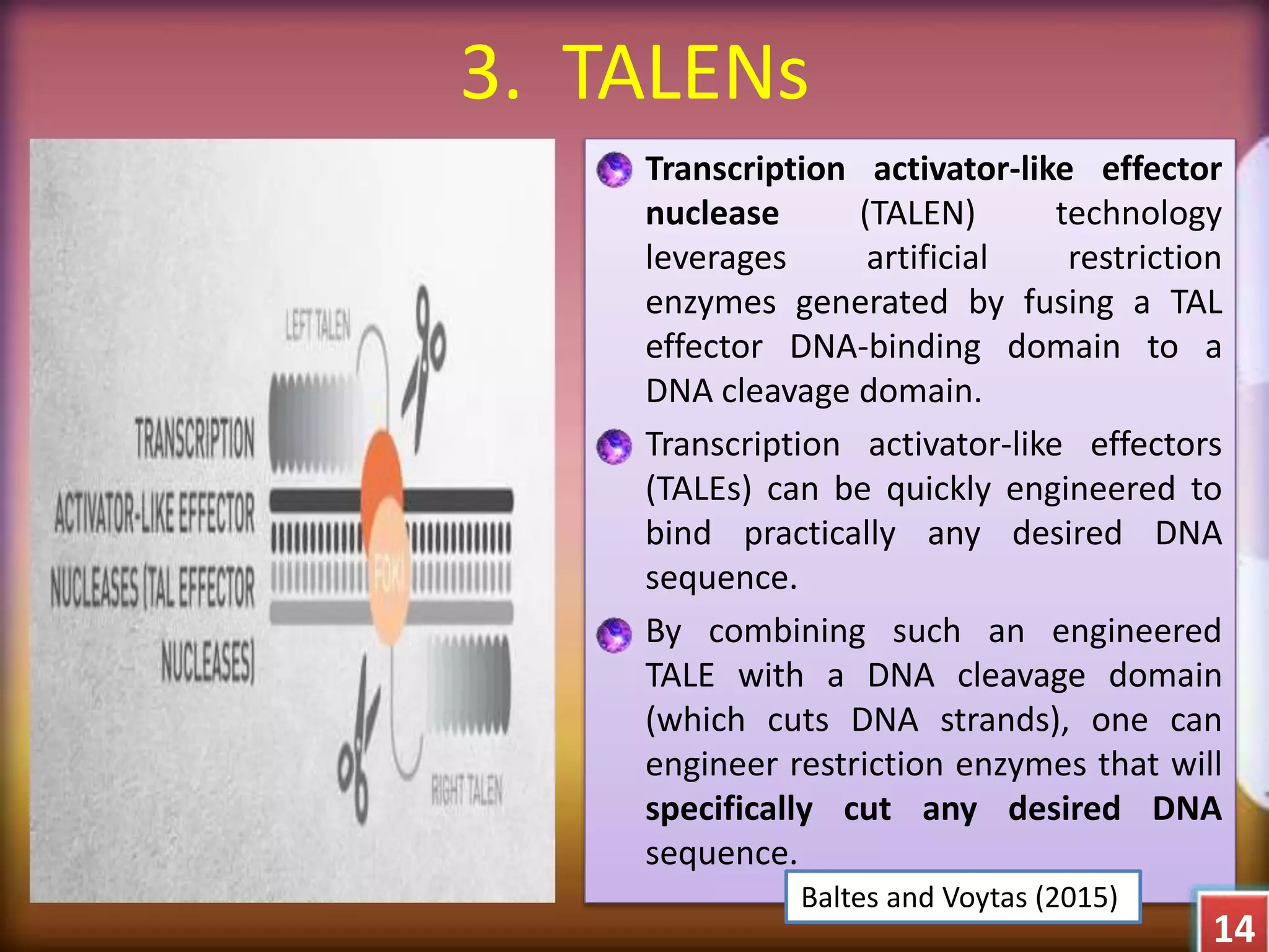 Genome Editing- ZNF vs TELEN | PPTX