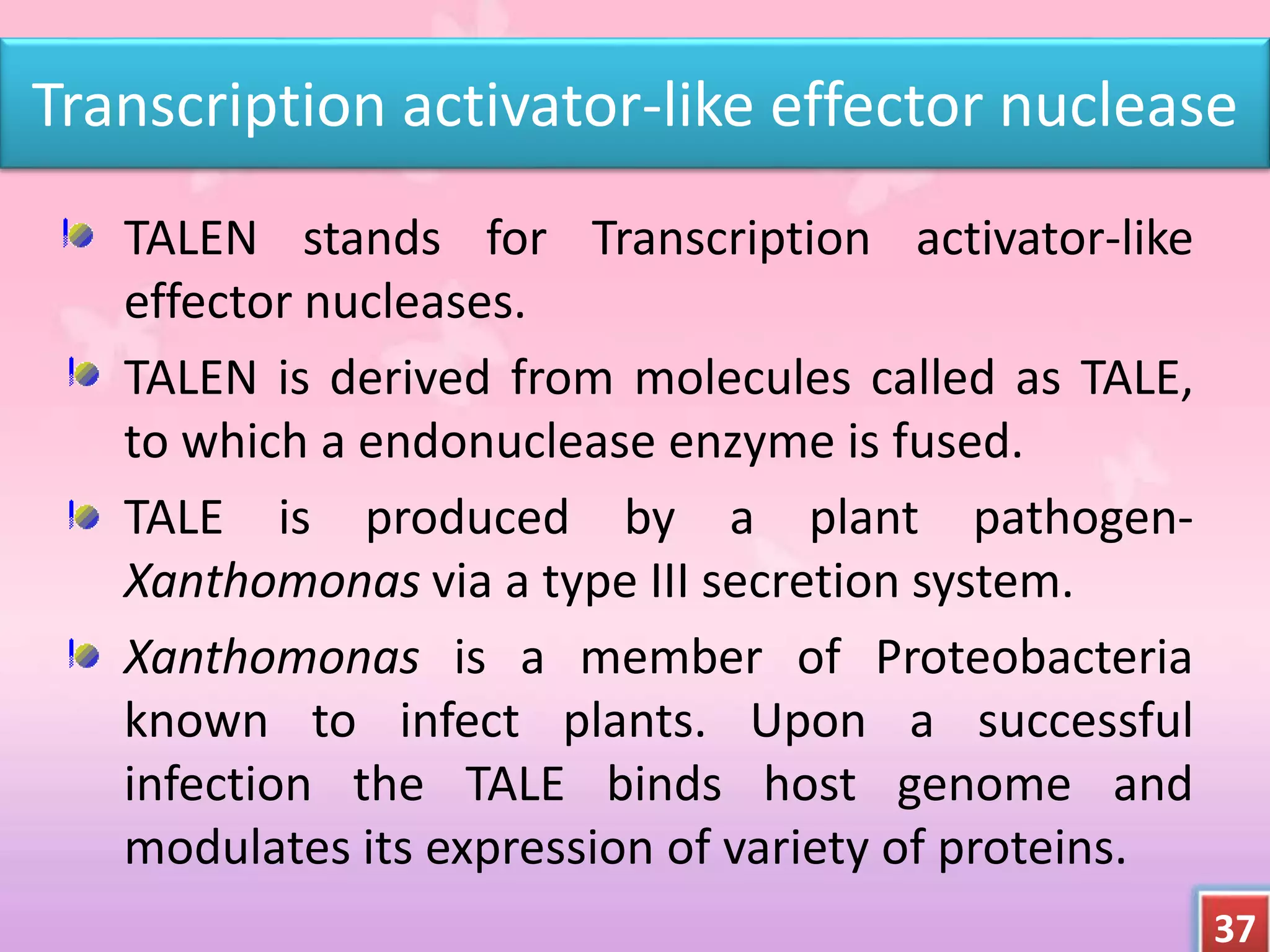 Genome Editing- ZNF vs TELEN | PPTX