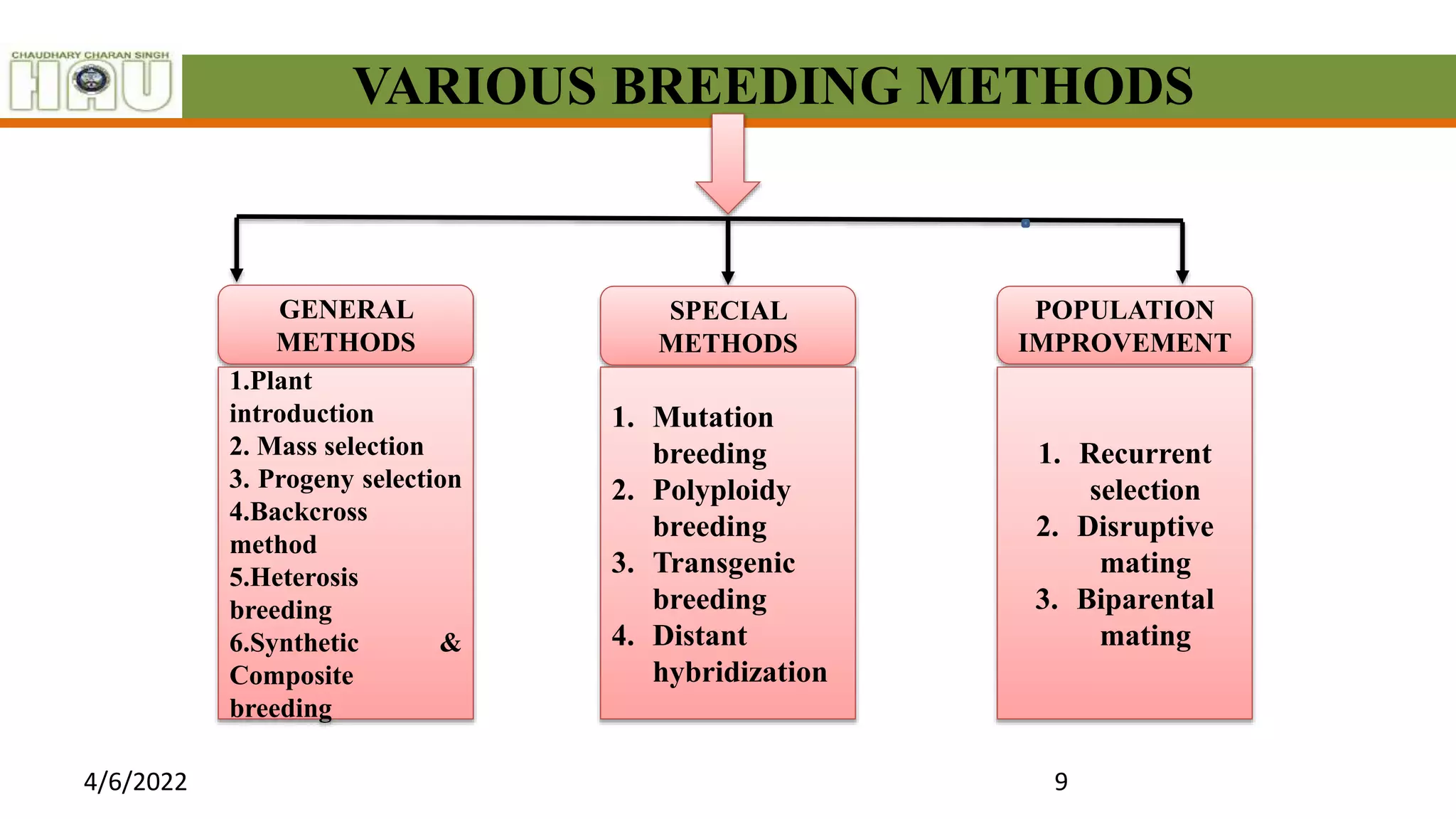 BREEDING METHODS IN CROSS POLLINATED CROPS | PPT