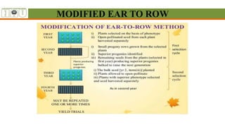 BREEDING METHODS IN CROSS POLLINATED CROPS | PPT