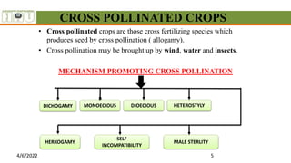 BREEDING METHODS IN CROSS POLLINATED CROPS | PPT