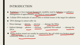 Radiation modifiers | PDF
