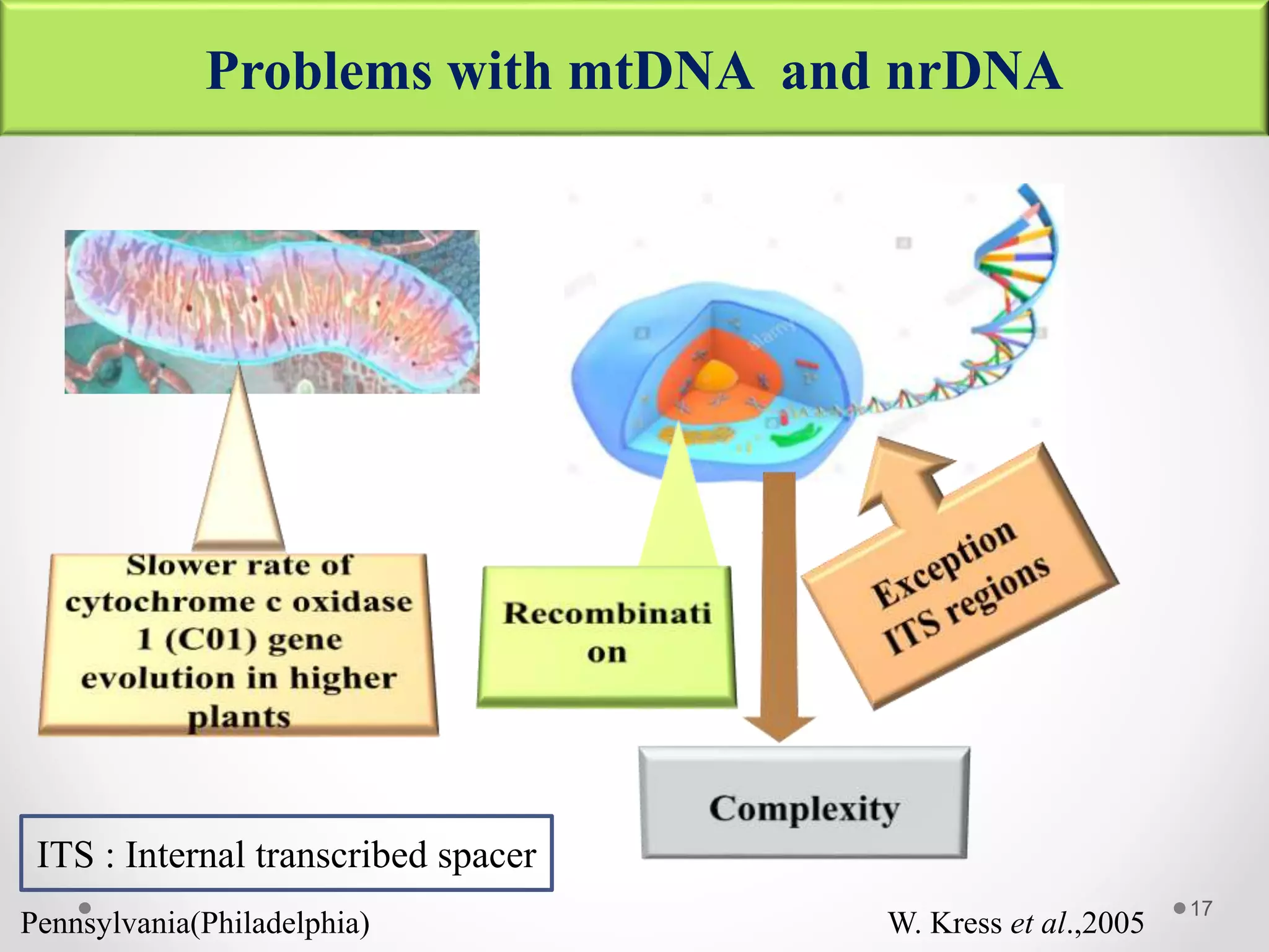 DNA Barcoding and its application in species identification | PPTX