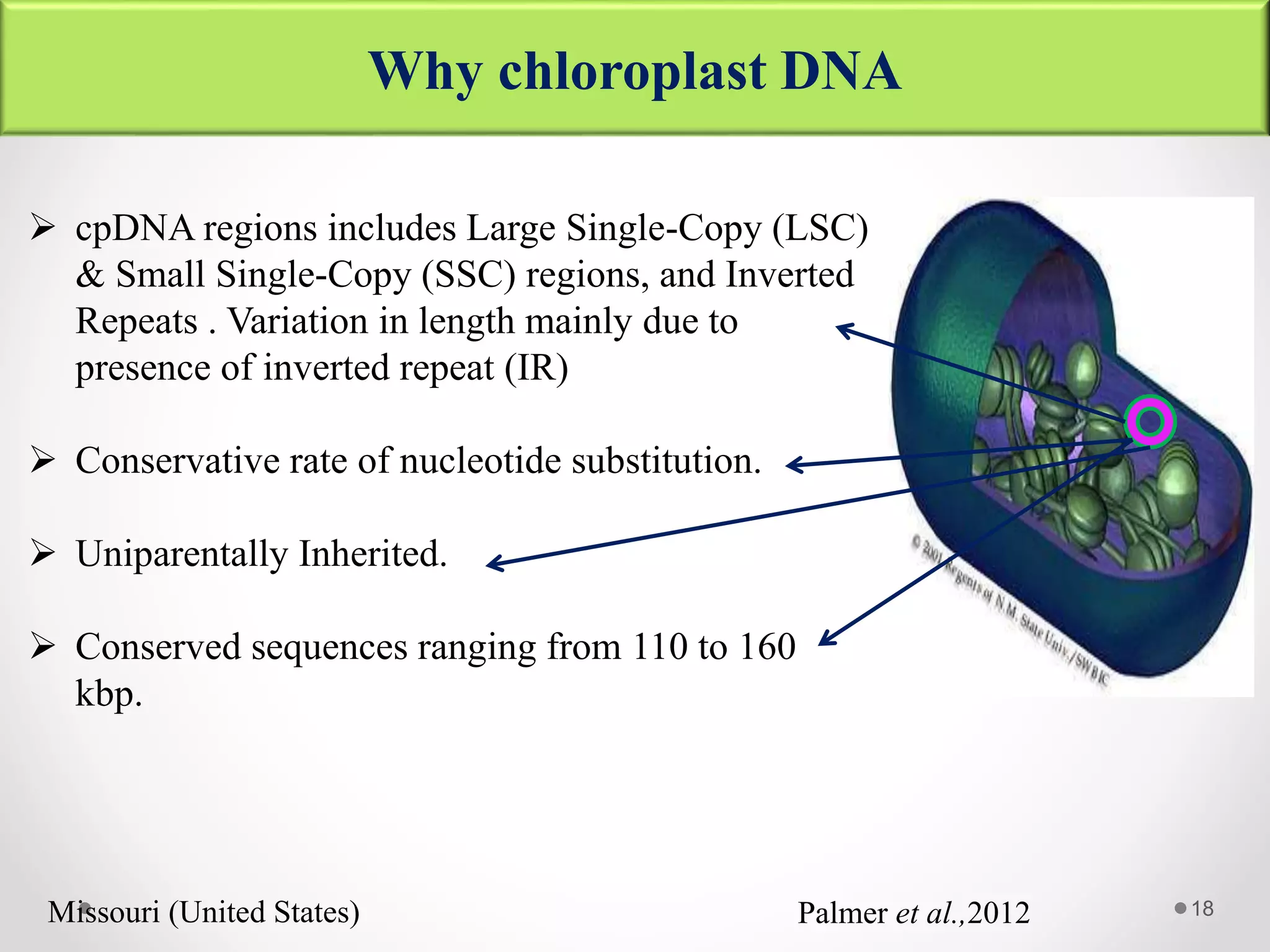 DNA Barcoding and its application in species identification | PPTX
