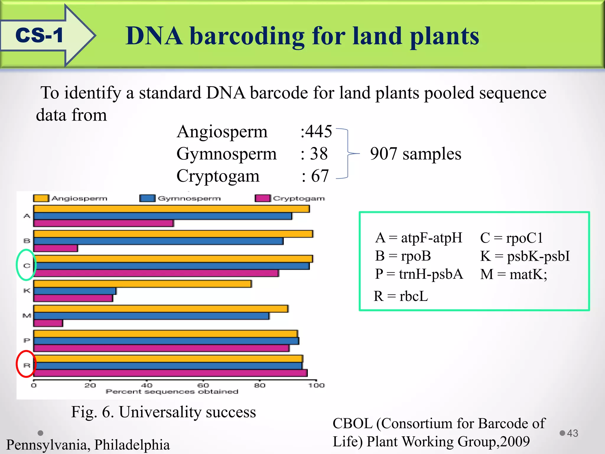 DNA Barcoding and its application in species identification | PPTX | Biological Sciences | Science