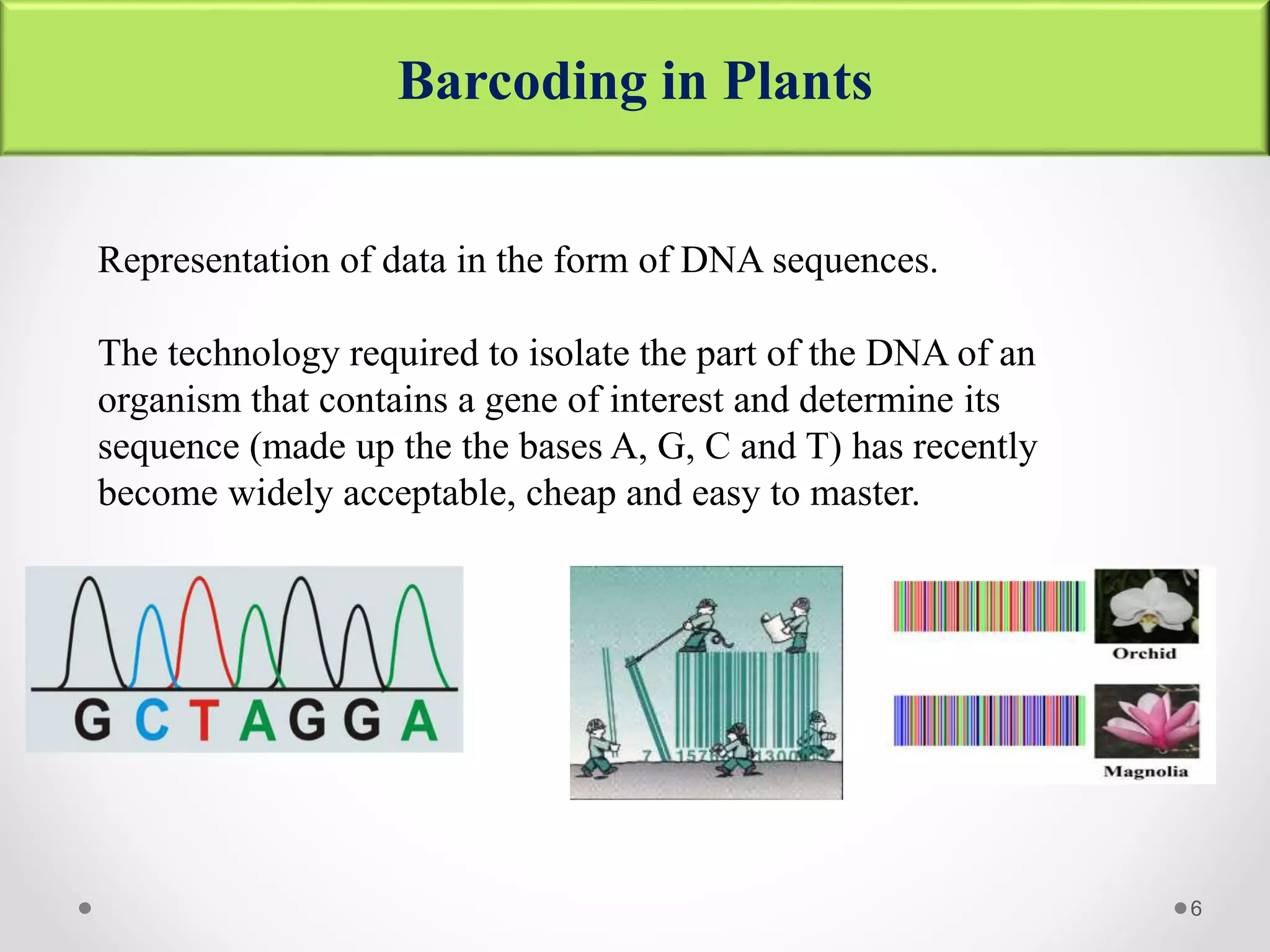 DNA Barcoding and its application in species identification | PPTX