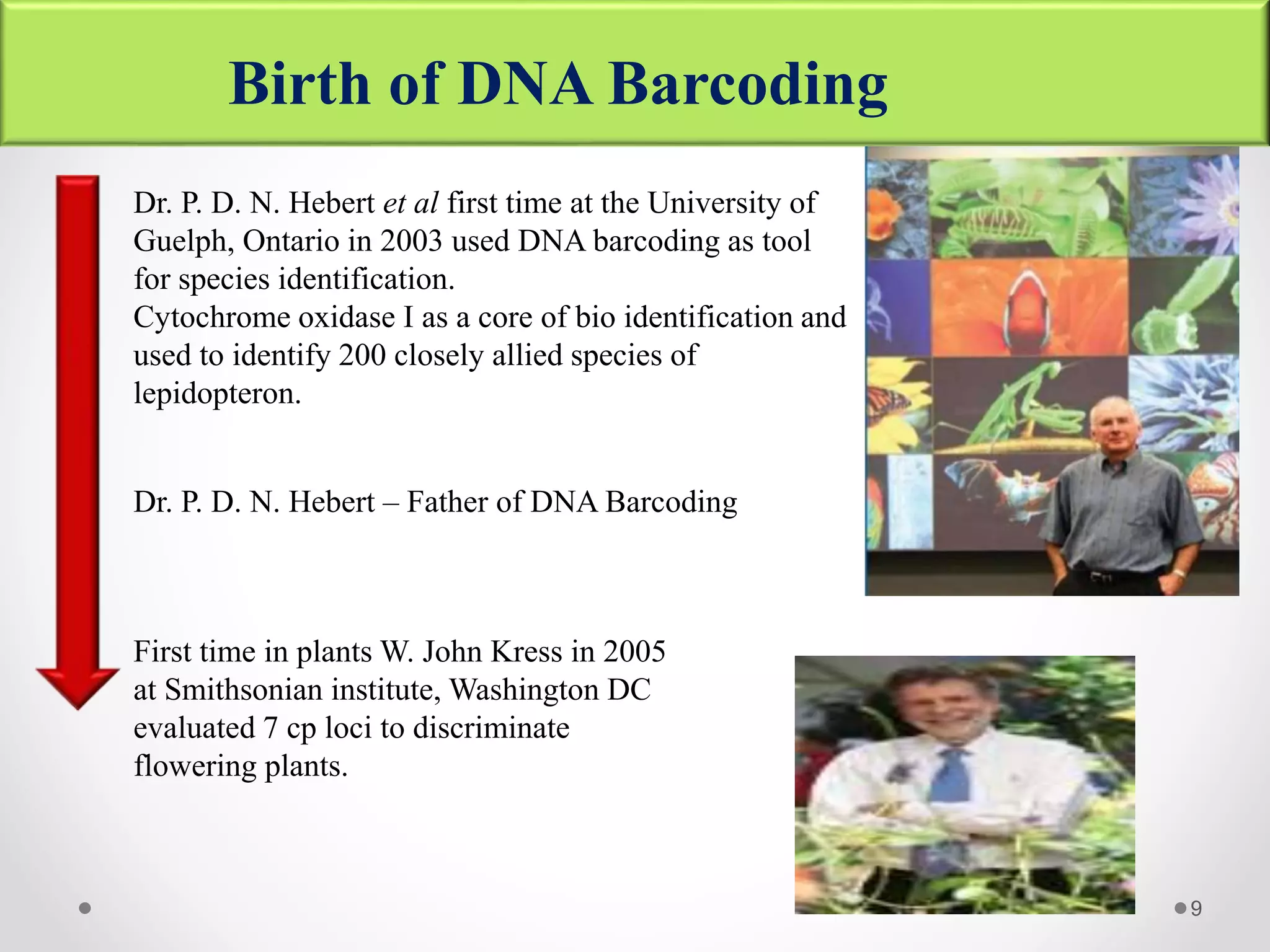 DNA Barcoding and its application in species identification | PPTX
