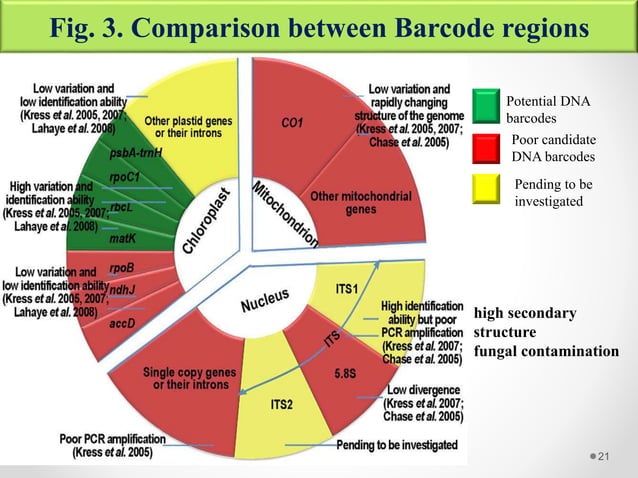 DNA Barcoding and its application in species identification | PPTX | Biological Sciences | Science