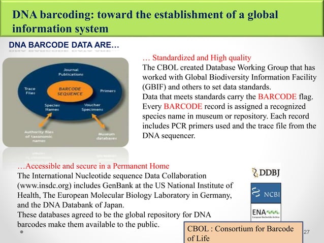 DNA Barcoding and its application in species identification | PPTX | Biological Sciences | Science