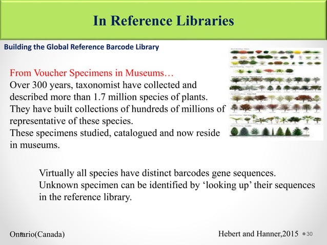 DNA Barcoding and its application in species identification | PPTX ...