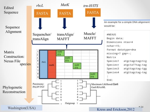 DNA Barcoding and its application in species identification | PPTX ...