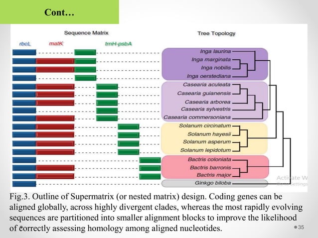 DNA Barcoding and its application in species identification | PPTX ...