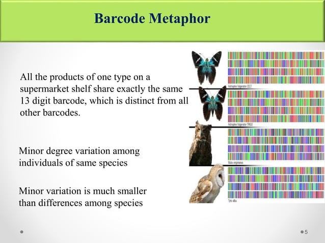 DNA Barcoding and its application in species identification | PPTX ...