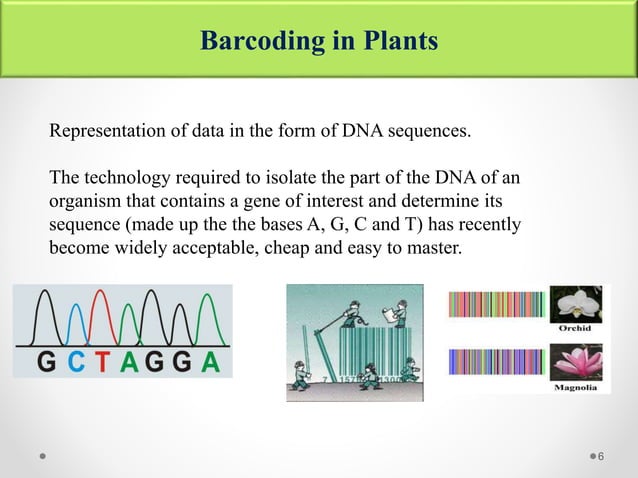 DNA Barcoding and its application in species identification | PPTX | Biological Sciences | Science