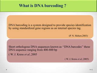 DNA Barcoding and its application in species identification | PPT