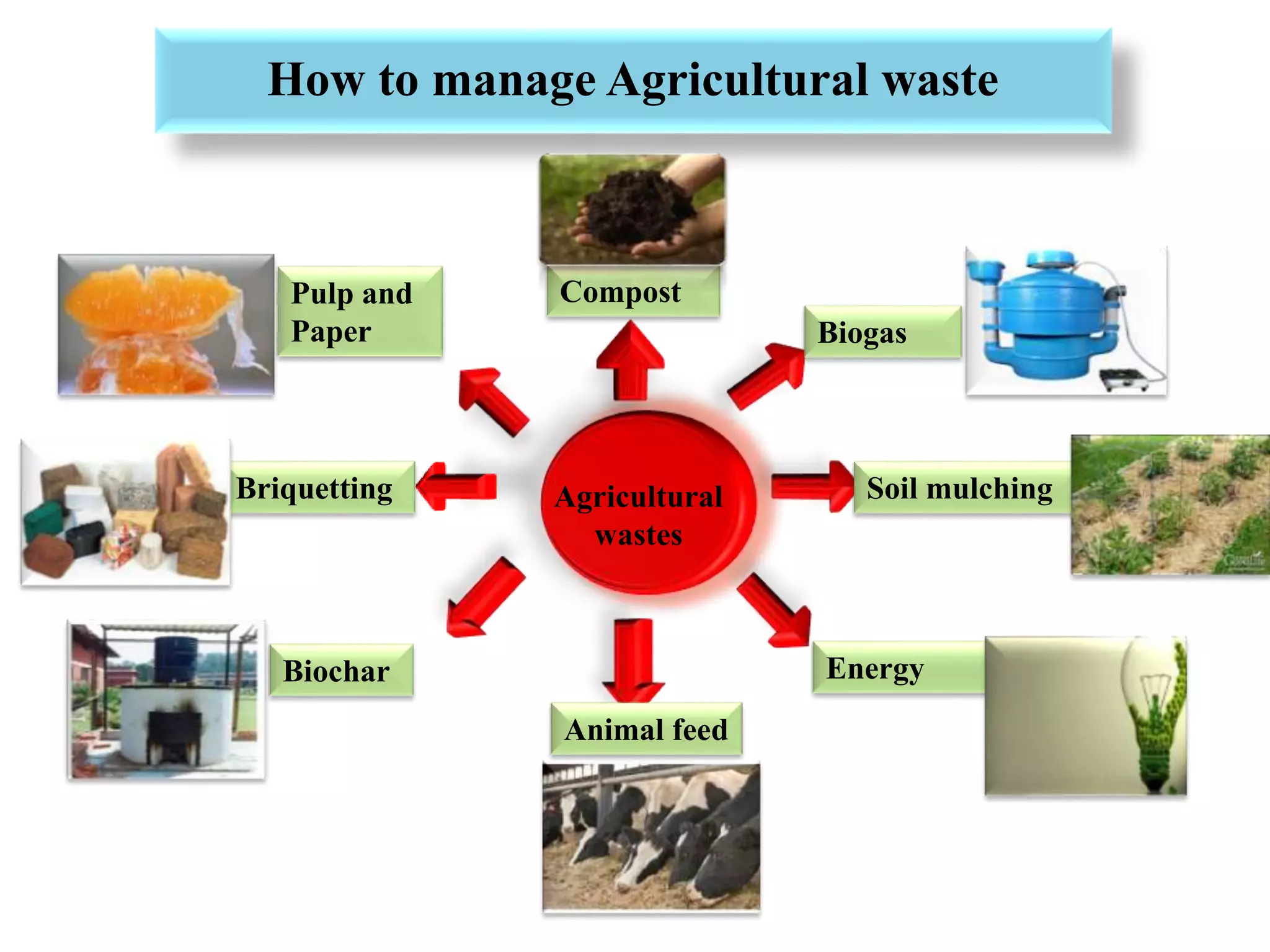 AGRICULTURAL WASTE AS A SOURCE OF ENERGY AND COMPOST | PPTX