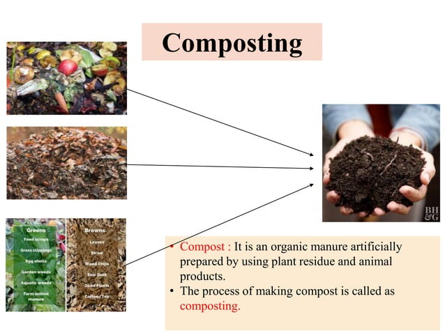 AGRICULTURAL WASTE AS A SOURCE OF ENERGY AND COMPOST | PPTX
