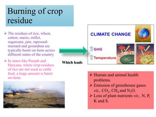 AGRICULTURAL WASTE AS A SOURCE OF ENERGY AND COMPOST | PPTX