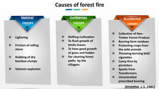 finalseminar2.ppt