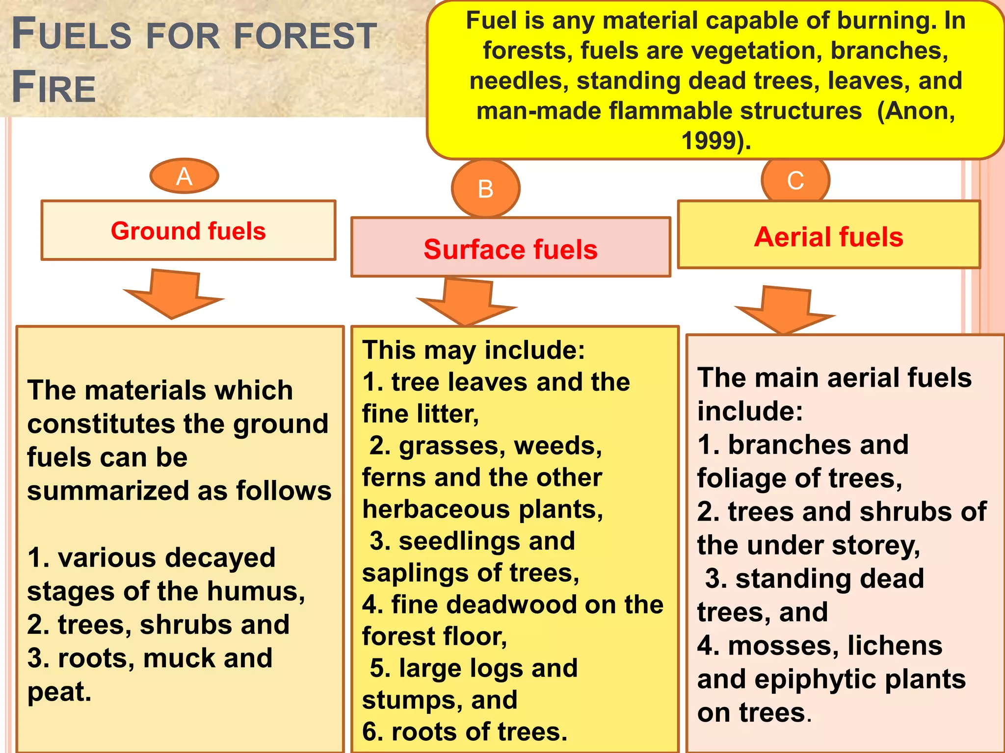 Forest Fire- its impacts, case studies | PPTX