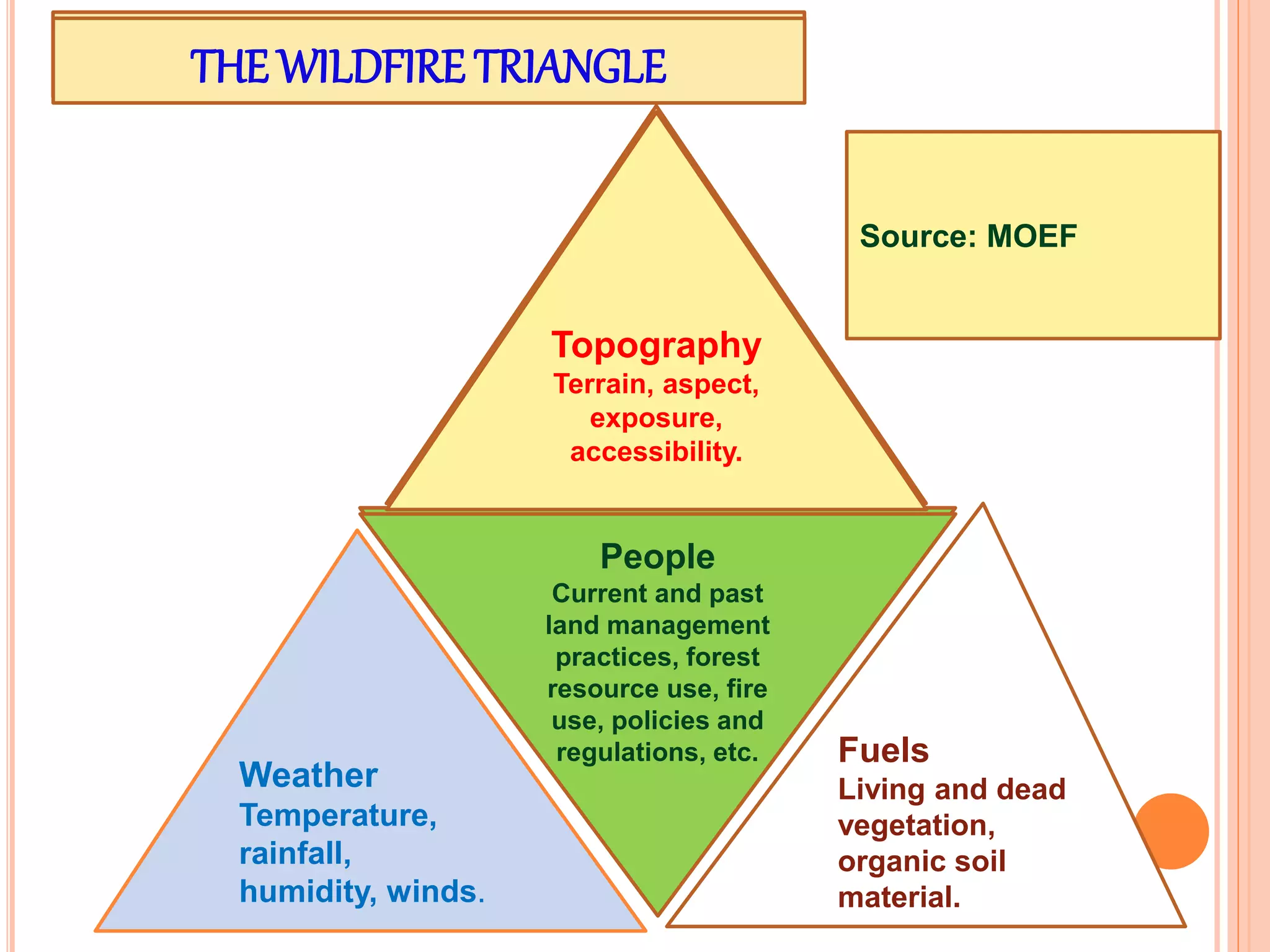 Forest Fire- its impacts, case studies | PPTX