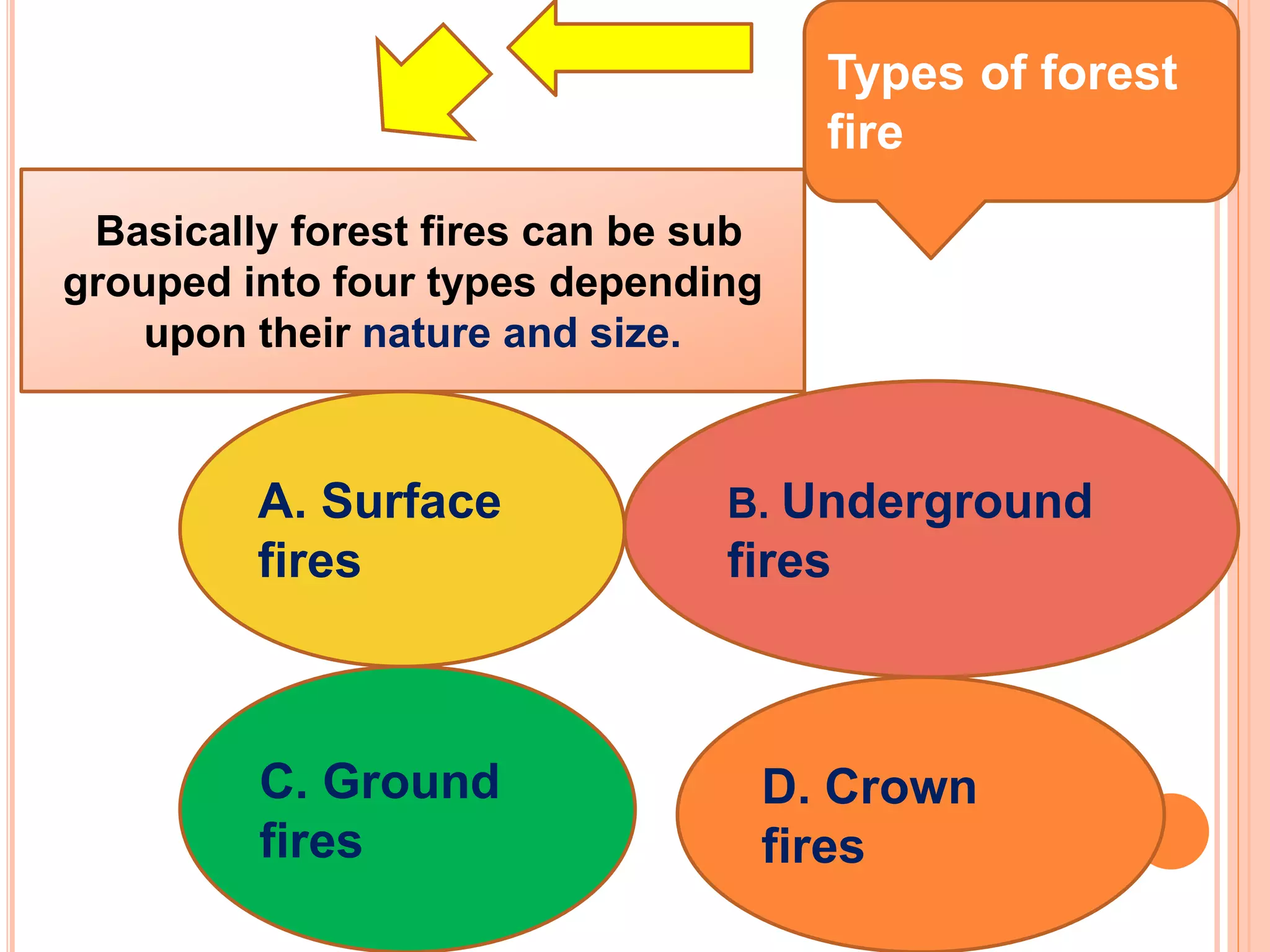 Forest Fire- its impacts, case studies | PPTX