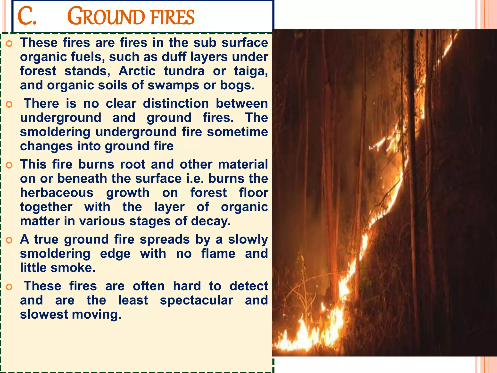 Forest Fire- its impacts, case studies | PPTX