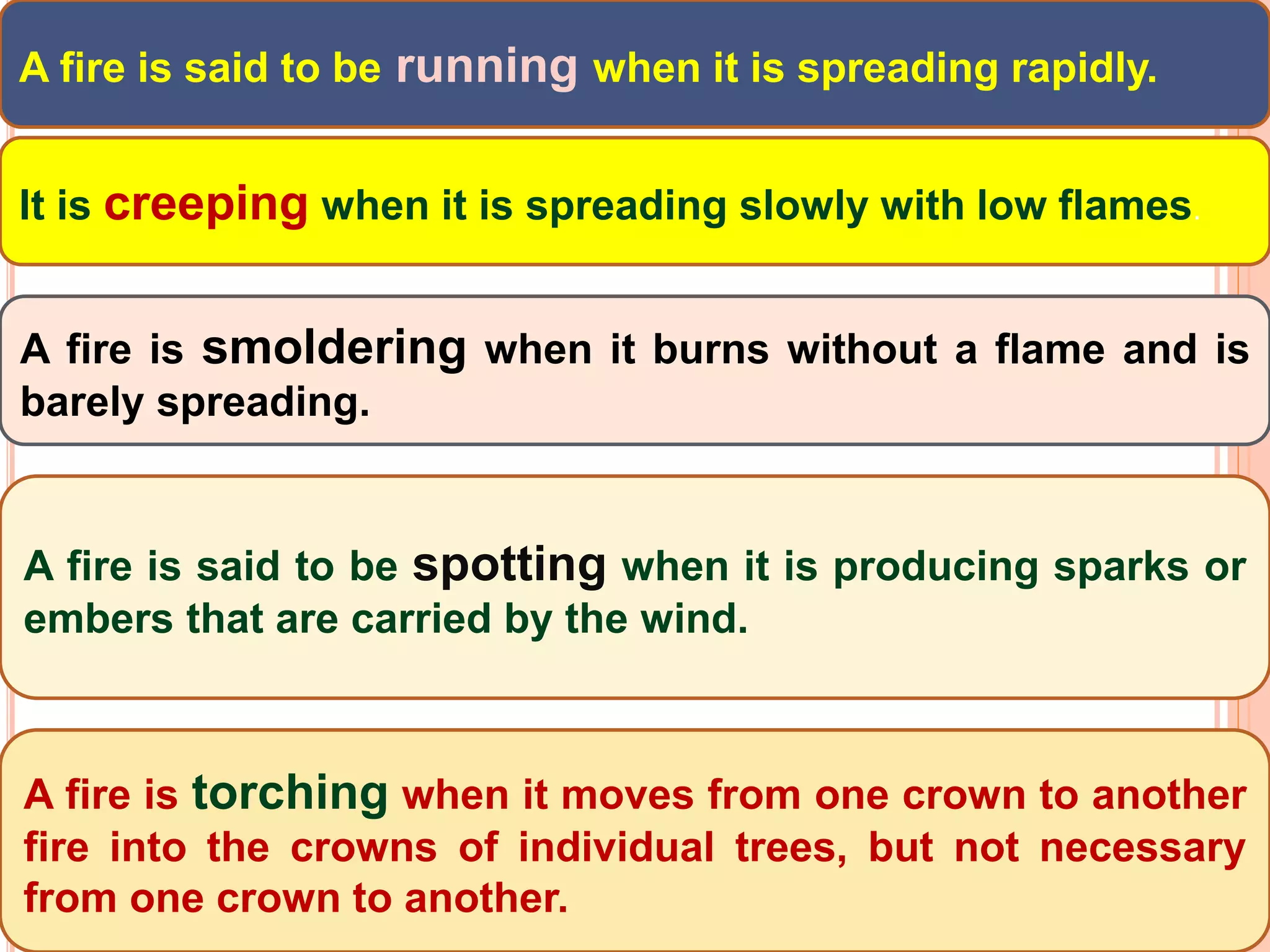 Forest Fire- its impacts, case studies | PPTX