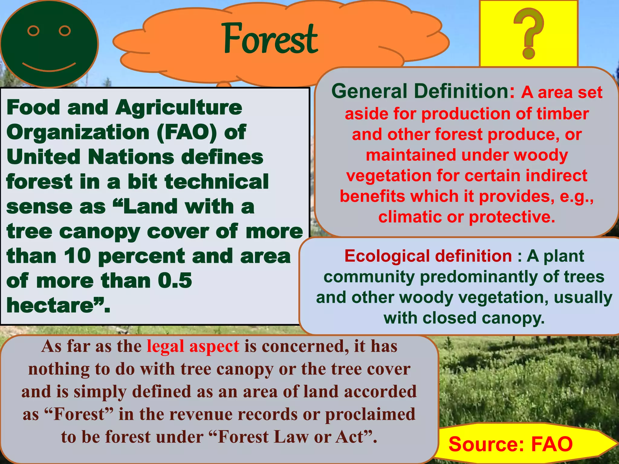 Forest Fire- its impacts, case studies | PPTX