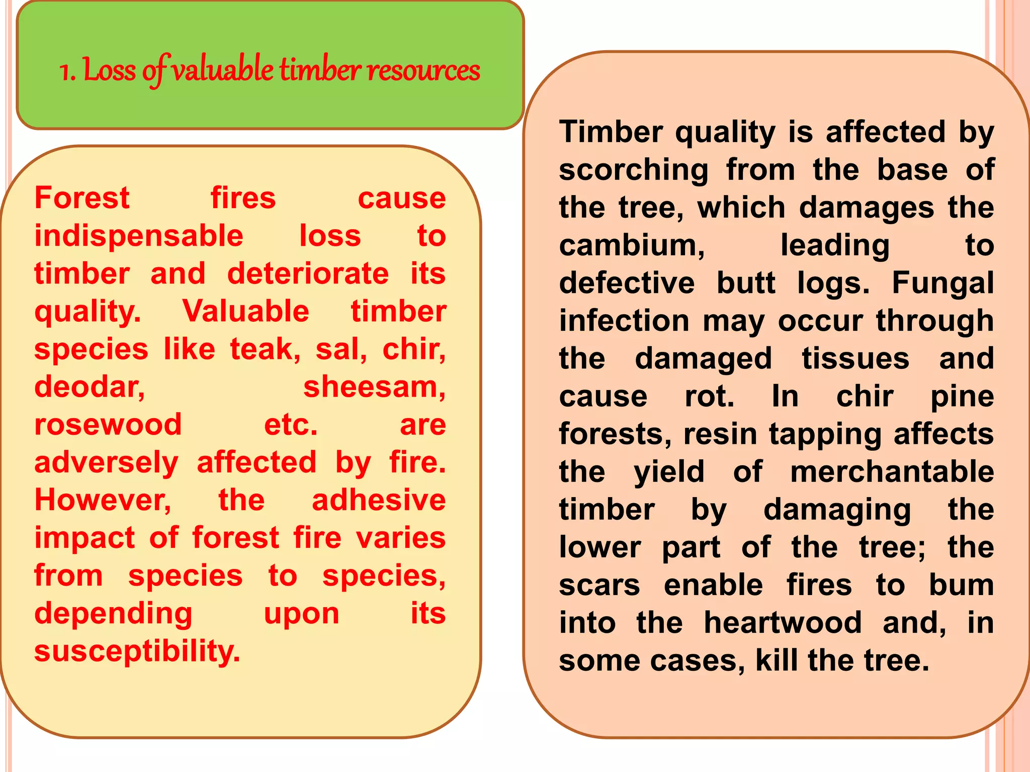 Forest Fire- its impacts, case studies | PPTX