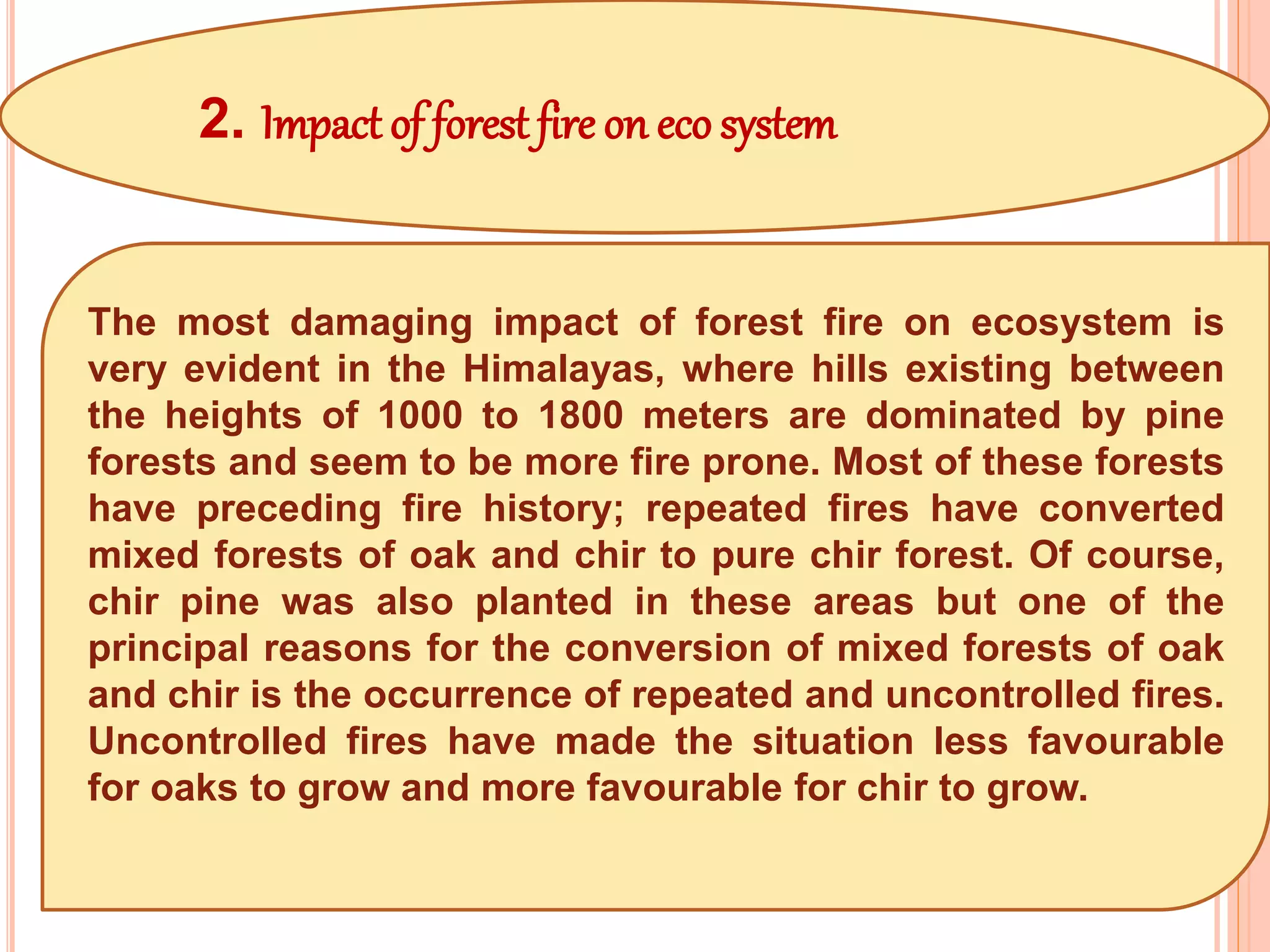 Forest Fire- its impacts, case studies | PPTX