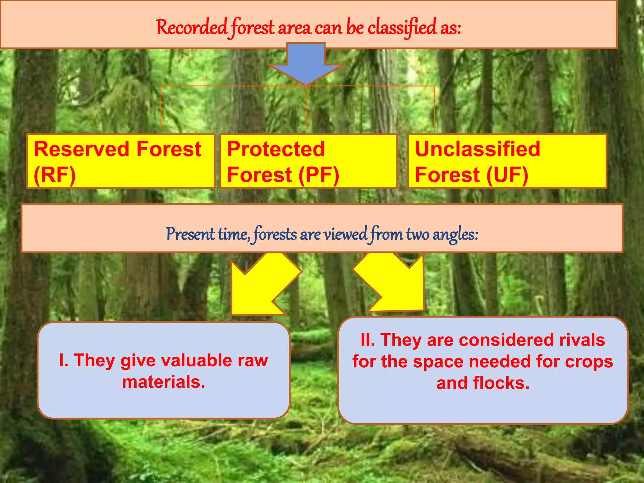 Forest Fire- its impacts, case studies | PPTX