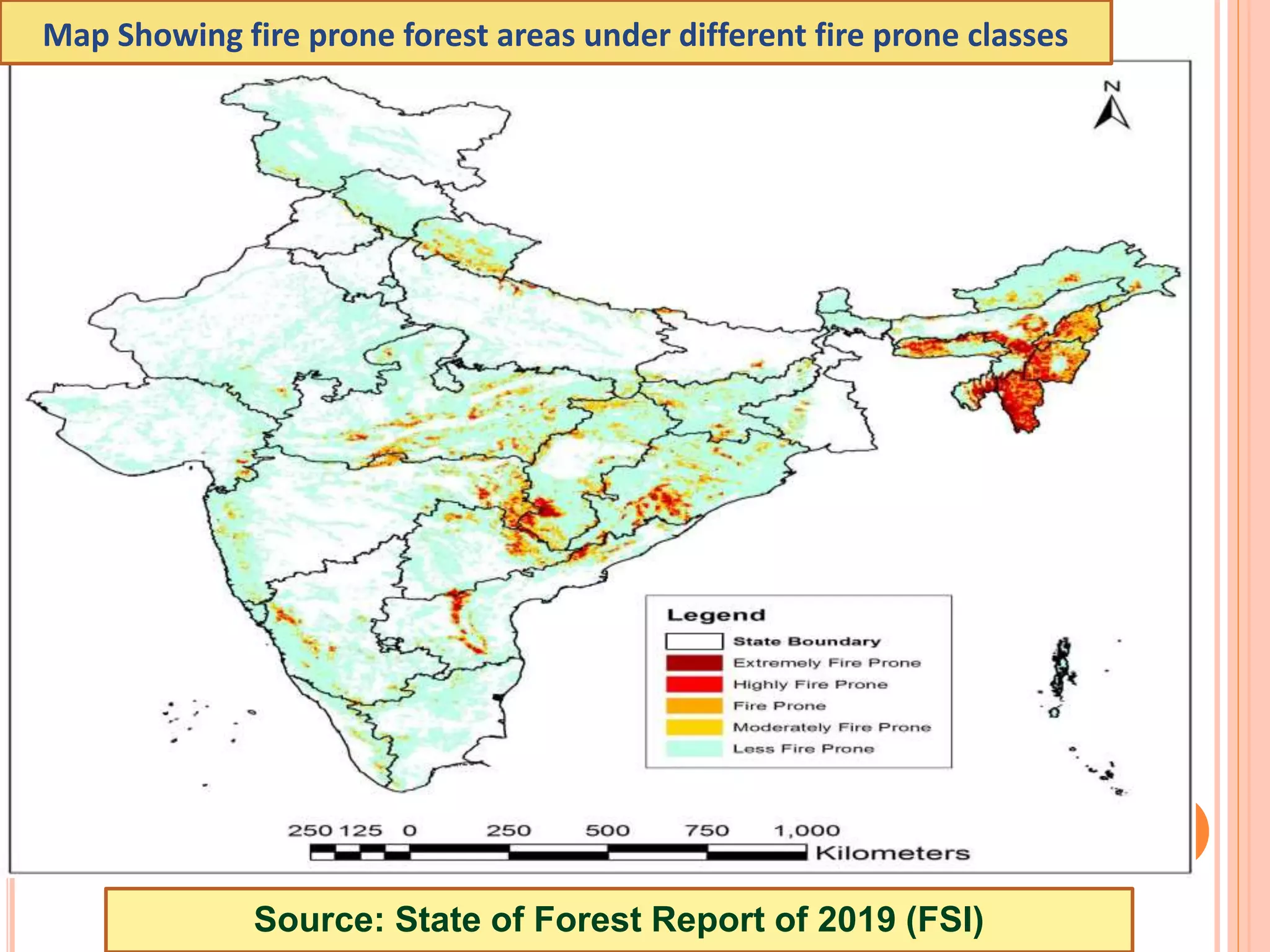 Forest Fire- its impacts, case studies | PPTX
