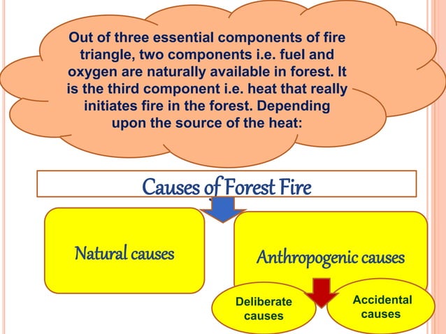 Forest Fire- its impacts, case studies | PPTX