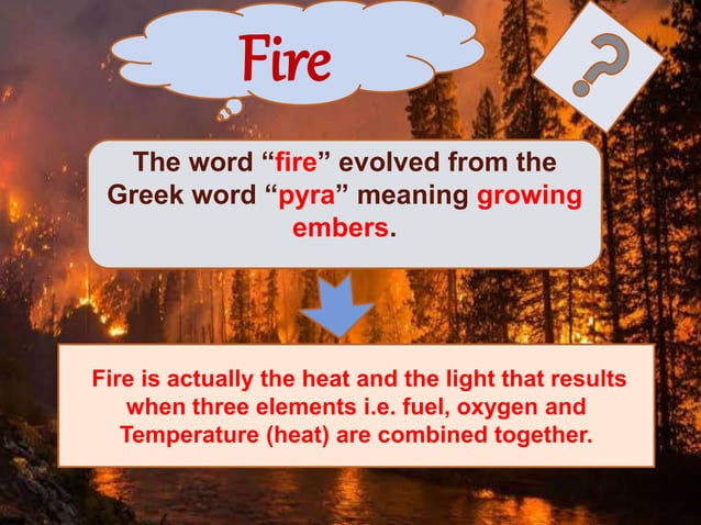 Forest Fire- its impacts, case studies | PPTX