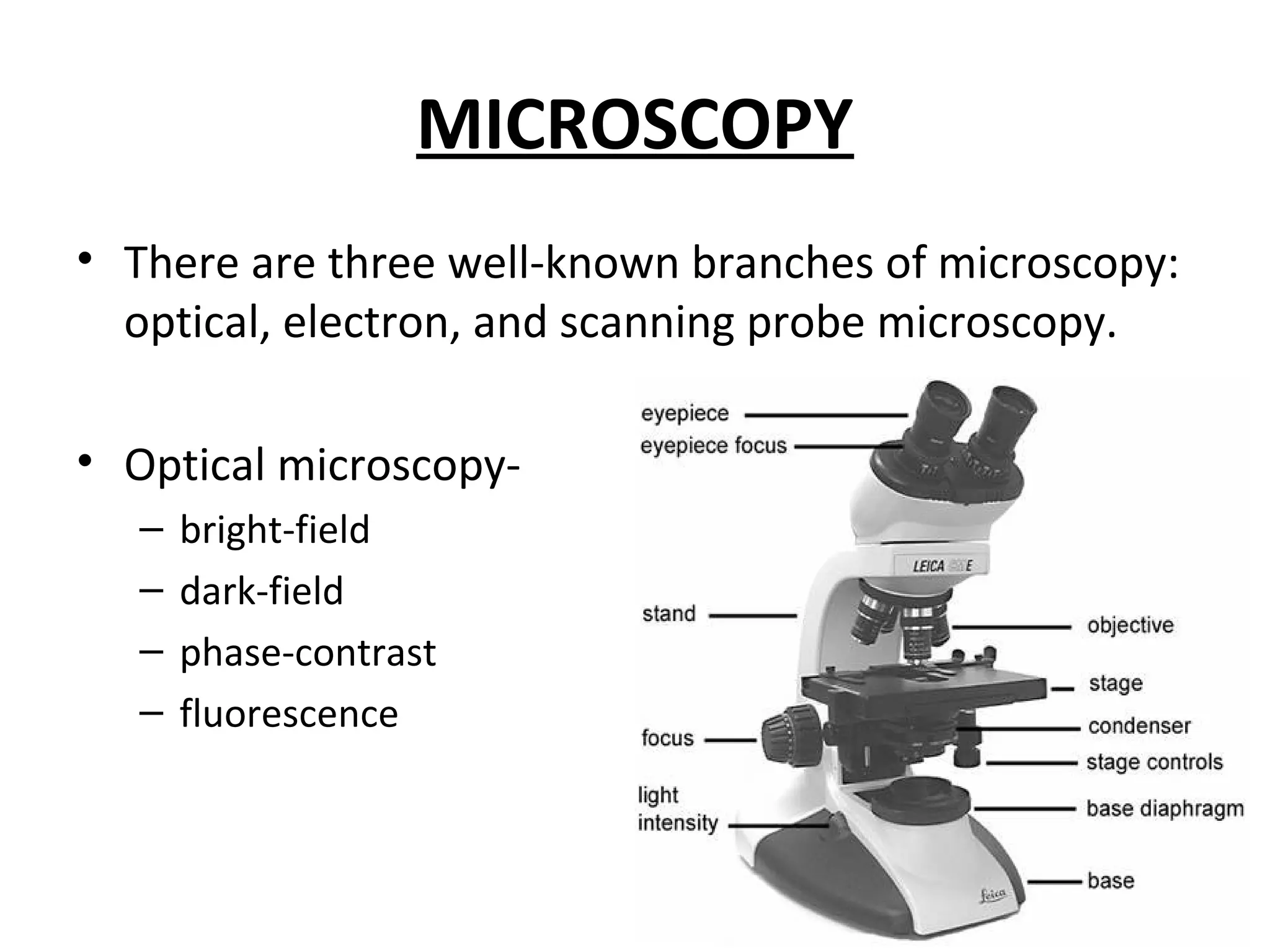 Common Laboratory investigations in dermatology | PPT