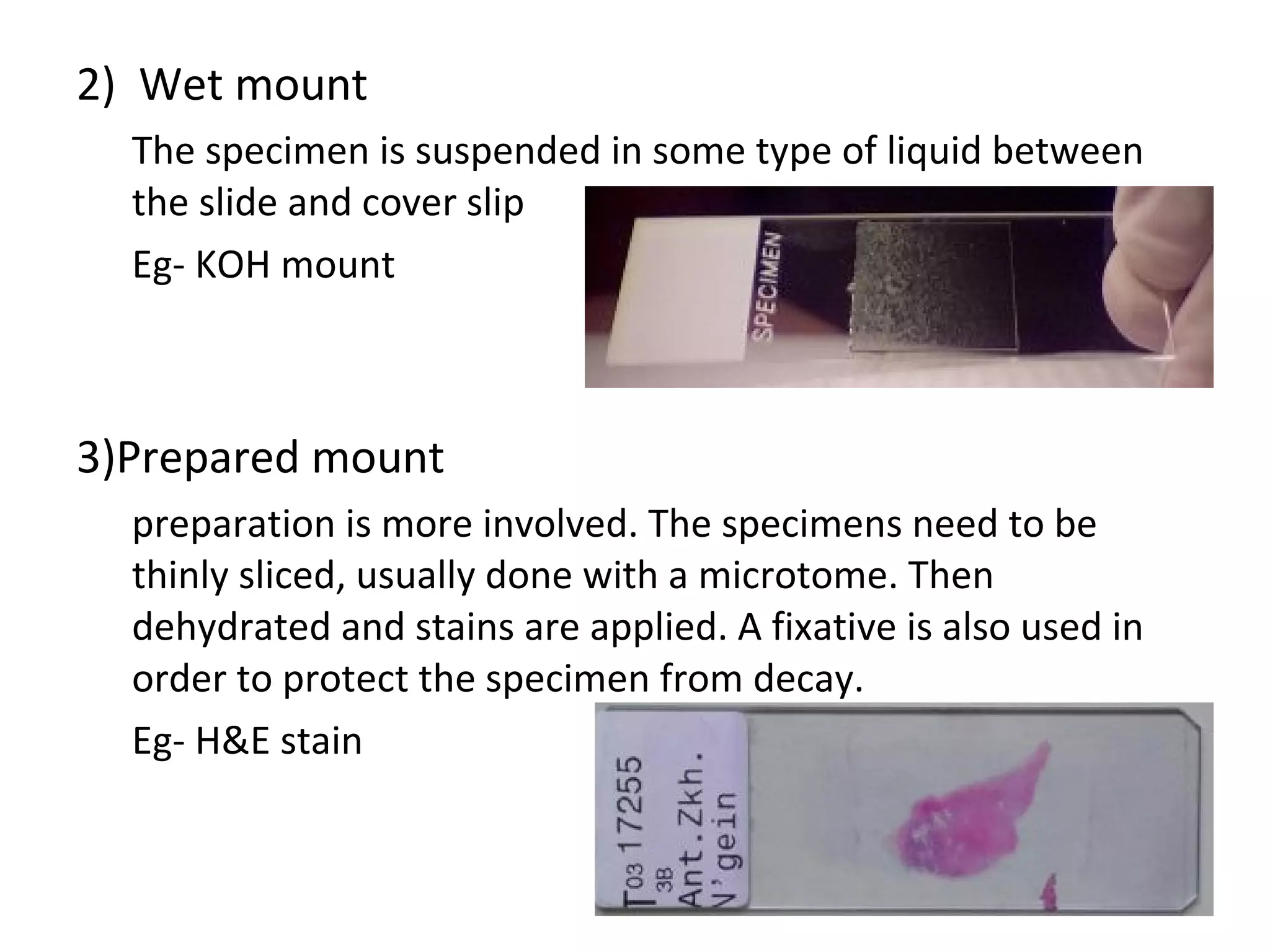 Common Laboratory investigations in dermatology | PPT