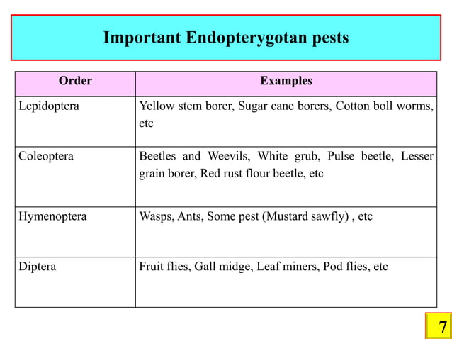 Bethylids: A living weapon to endopterygotan pests | PPT