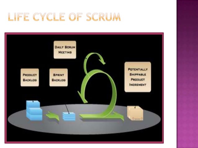 Case Study on agile scrum methodology on shopping cart | PPTX | Computer Software and ...